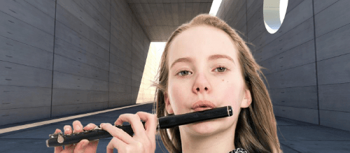 What Are the Differences Between a Flute and a Piccolo? 🆚